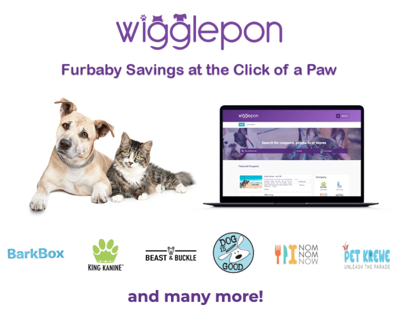 Pin Paws Pet Care- Customizable Pet Insurance Plans