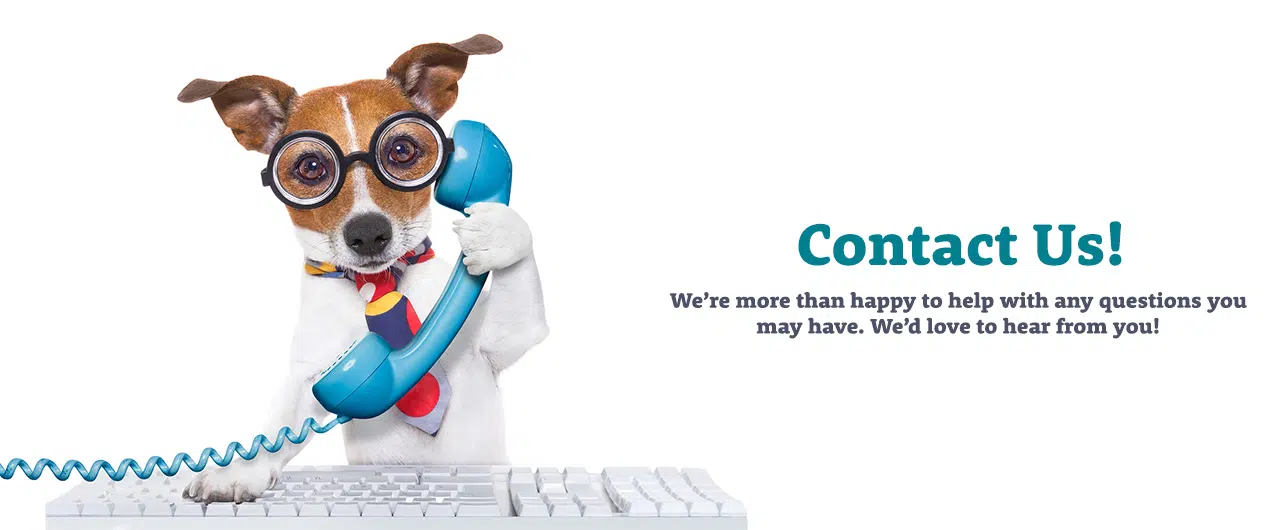 Contact Pin Paws Today- Our Team Is Standing By